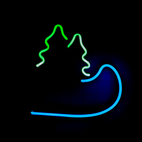 Leinenkugel’s Tree & Canoe Right Side Neon Sign Replacement Tube ...