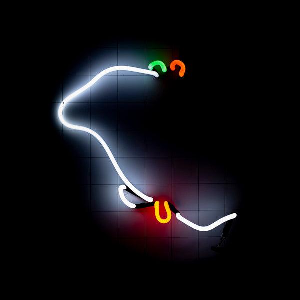 Black Hawks Head Unit for Unkown Neon Sign Replacement Tube ...